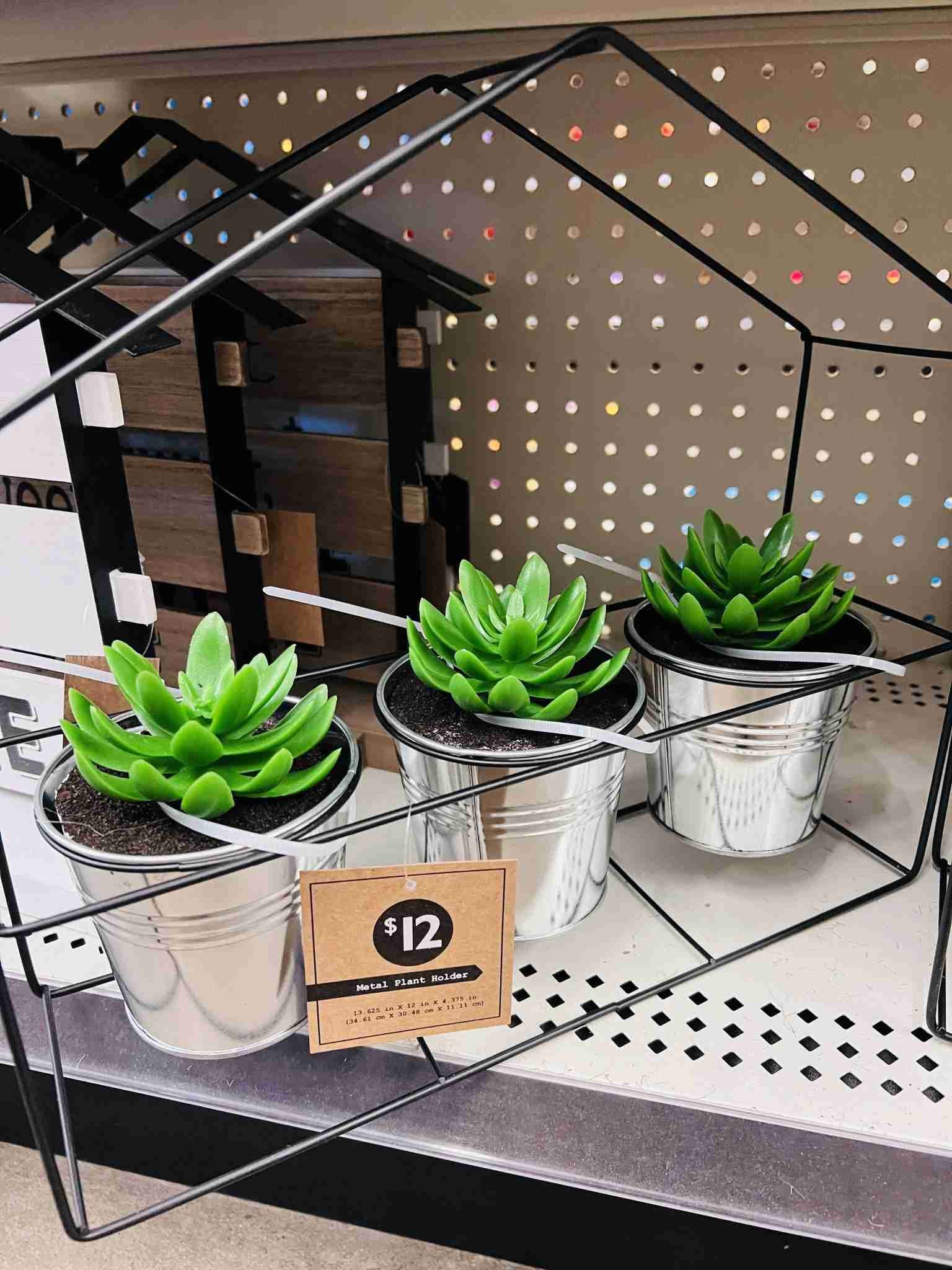 Dollar General Favorite Decor Finds - Word & Home