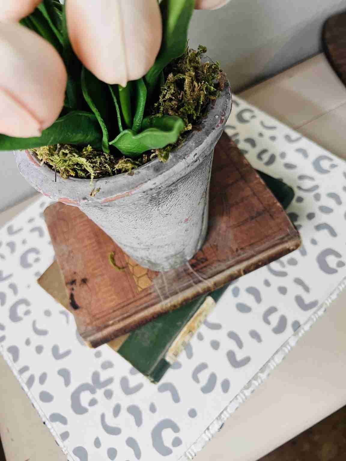 DIY Dollar Tree Wood Riser with Leopard Print - Word & Home