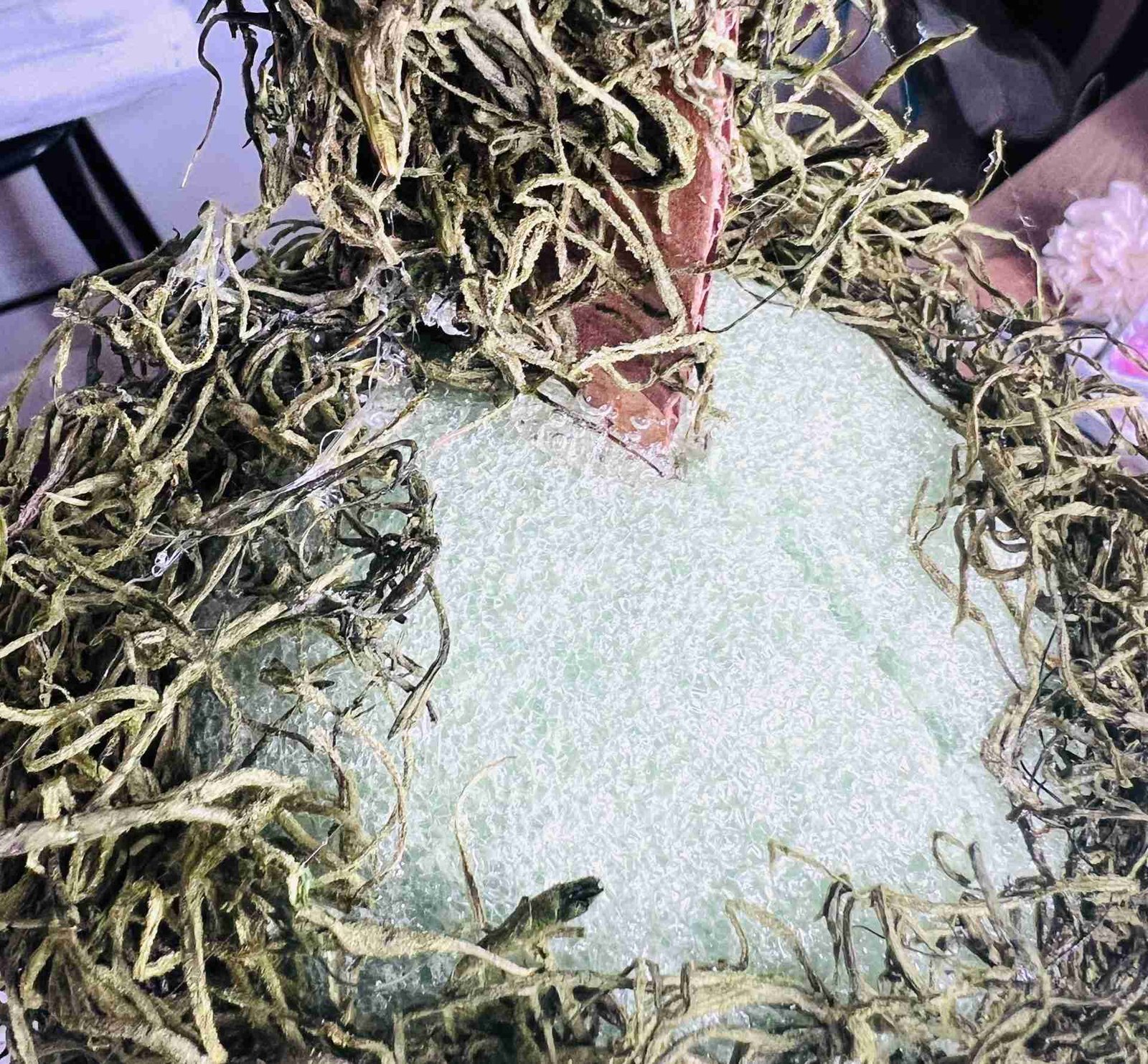 How to Make A Tabletop Moss Bunny - Word & Home - Word & Home